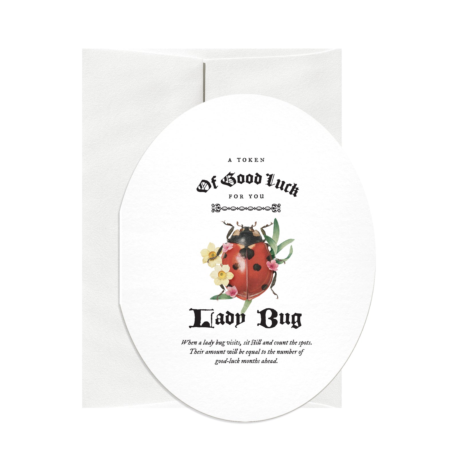 Ladybug Luck – Open Sea