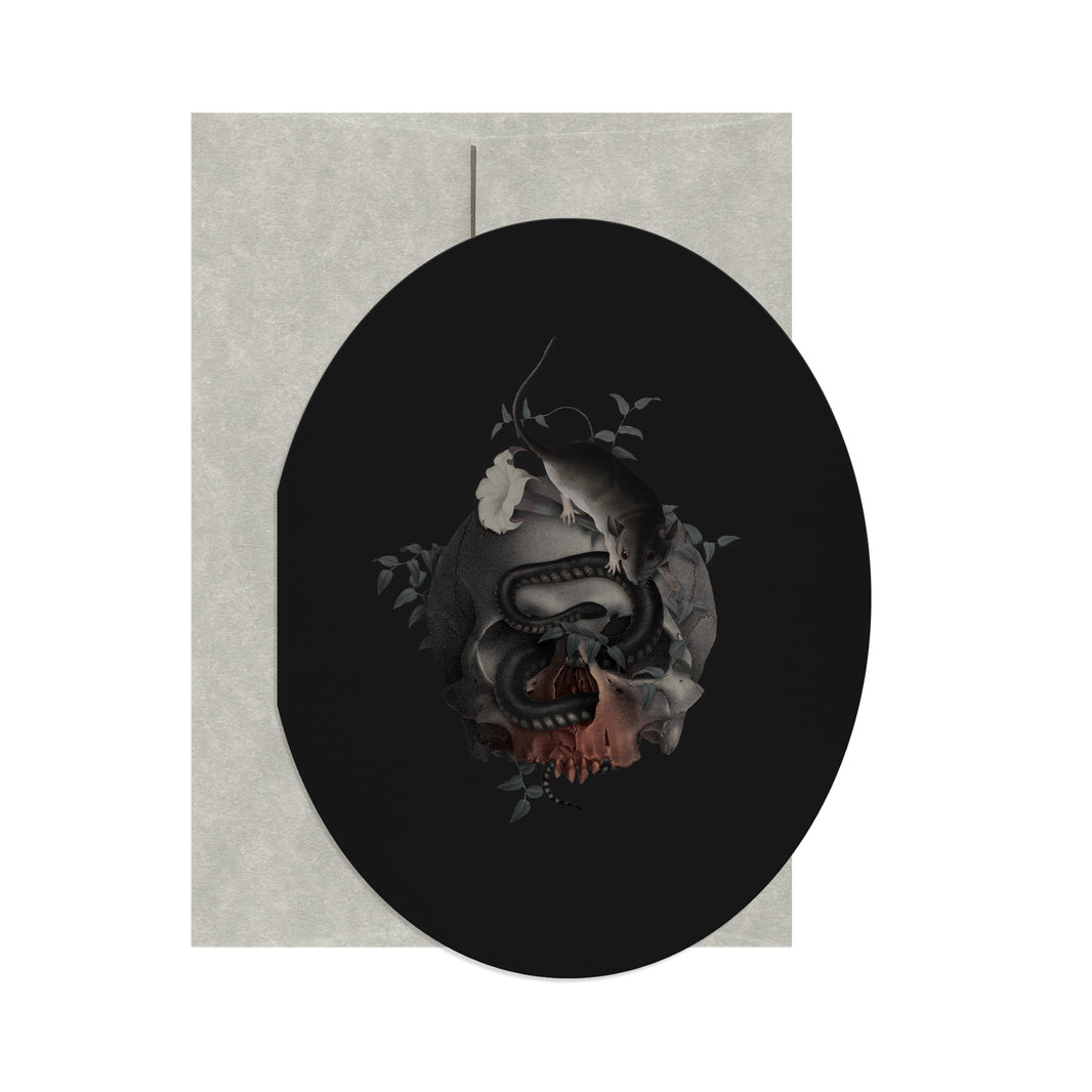 Nosferatu Collection – Open Sea