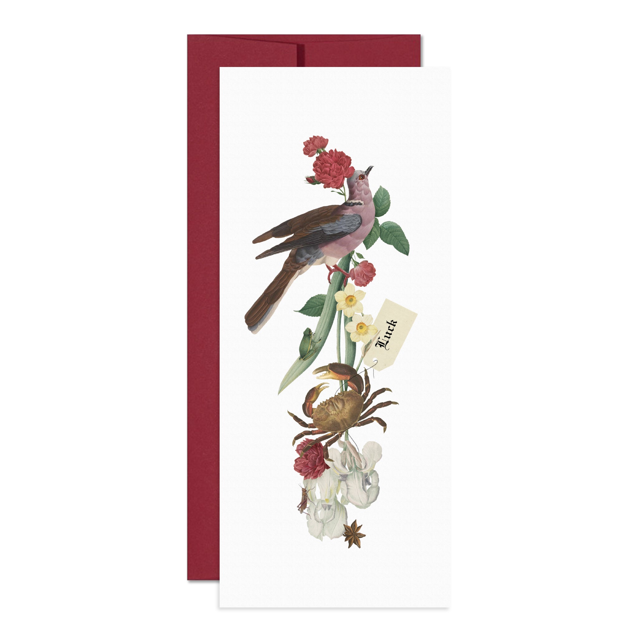 Open Sea Design Co.